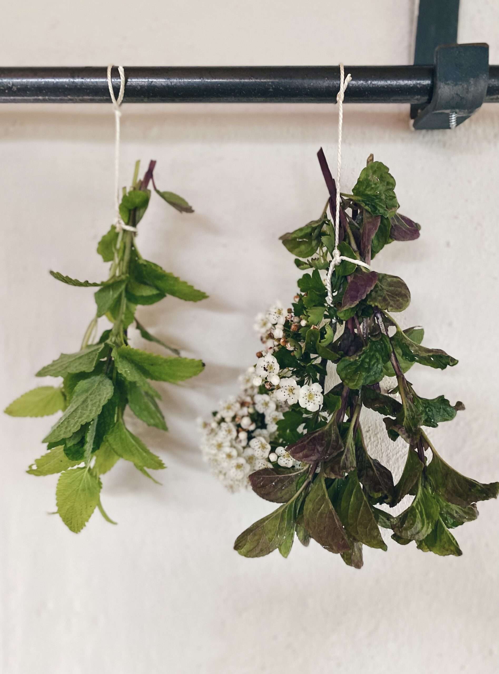 Homemade Herbal Teas - Recipe | Folláin